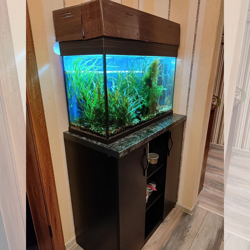 Аквариум с рыбками и тумбой