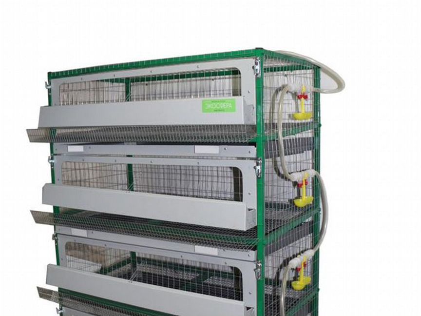 Клетки и брудеры для птицы