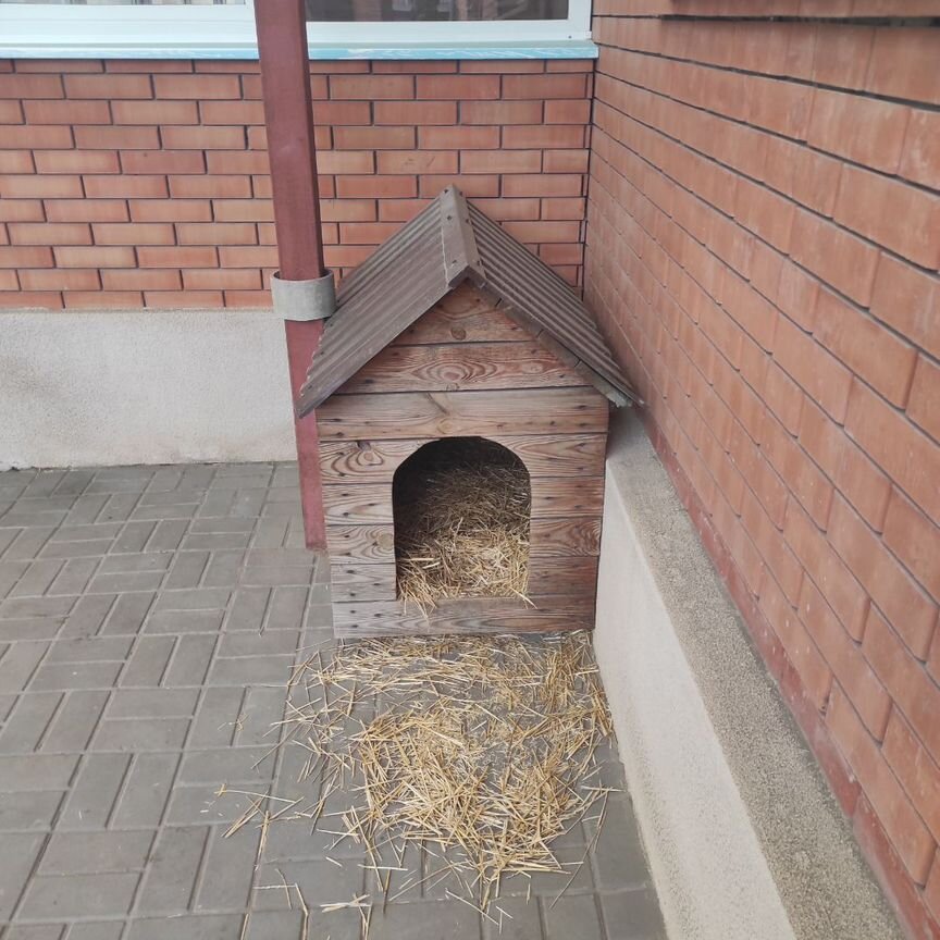 Собачья будка бу