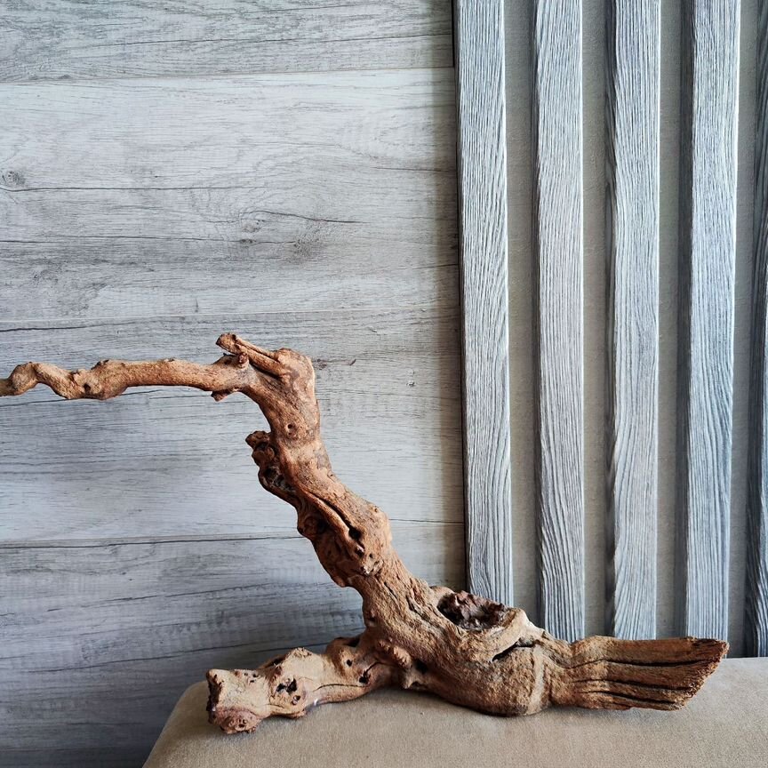 Коряга в террариум, виноградная лоза