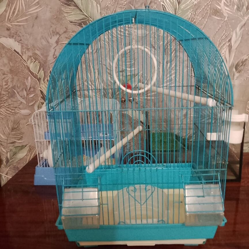 Клетка для птиц