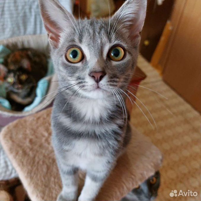 Космическая маленькая девочка