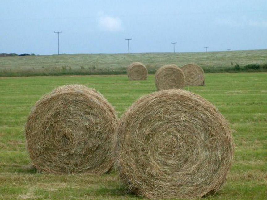 Продам сено с соломой в рулонах