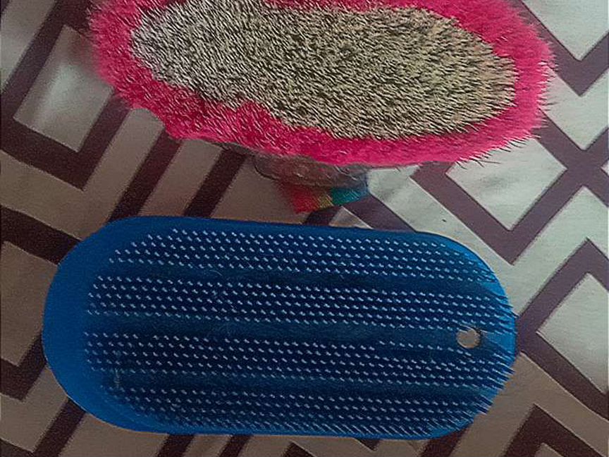 Щётки для конного спорта