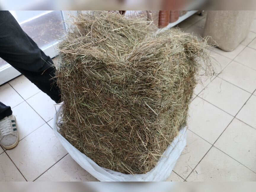 Сено