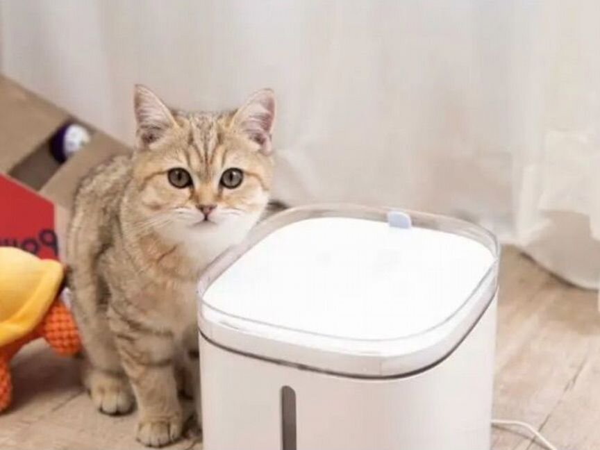 Поилка-фонтанчик для животных