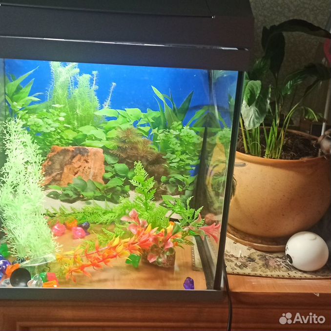 Аквариум 30 литров/ Tetra AquaArt