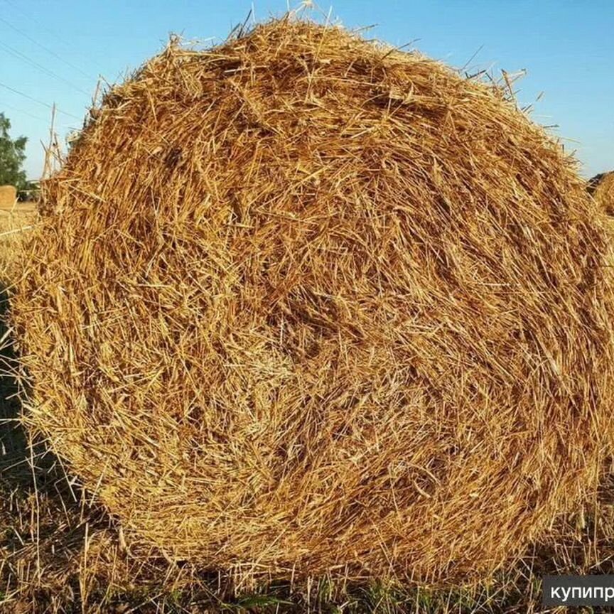 Солома в рулонах и мешках