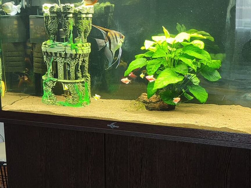 Аквариум с тумбой и рыбками