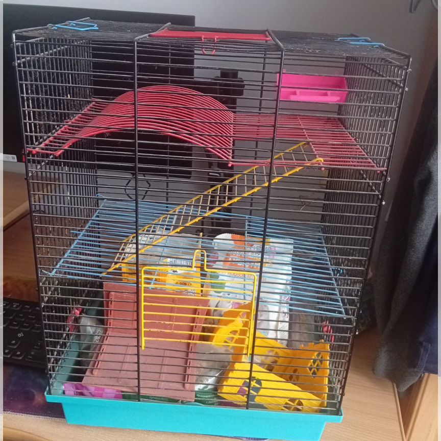 Клетка для грызунов