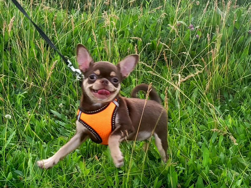 Очаровательная малышка