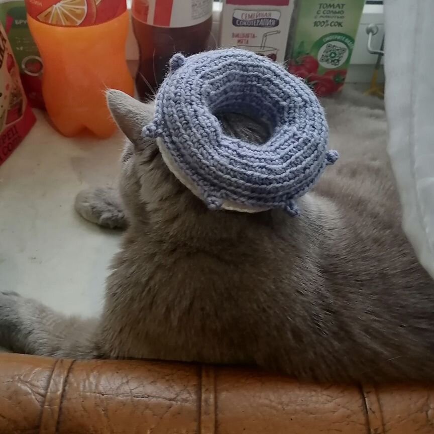 Пончик игрушка для собаки