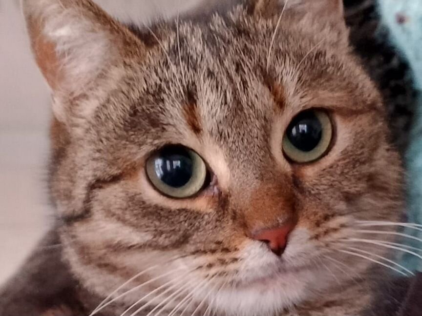 Через неделю начальник выкинет на улицу