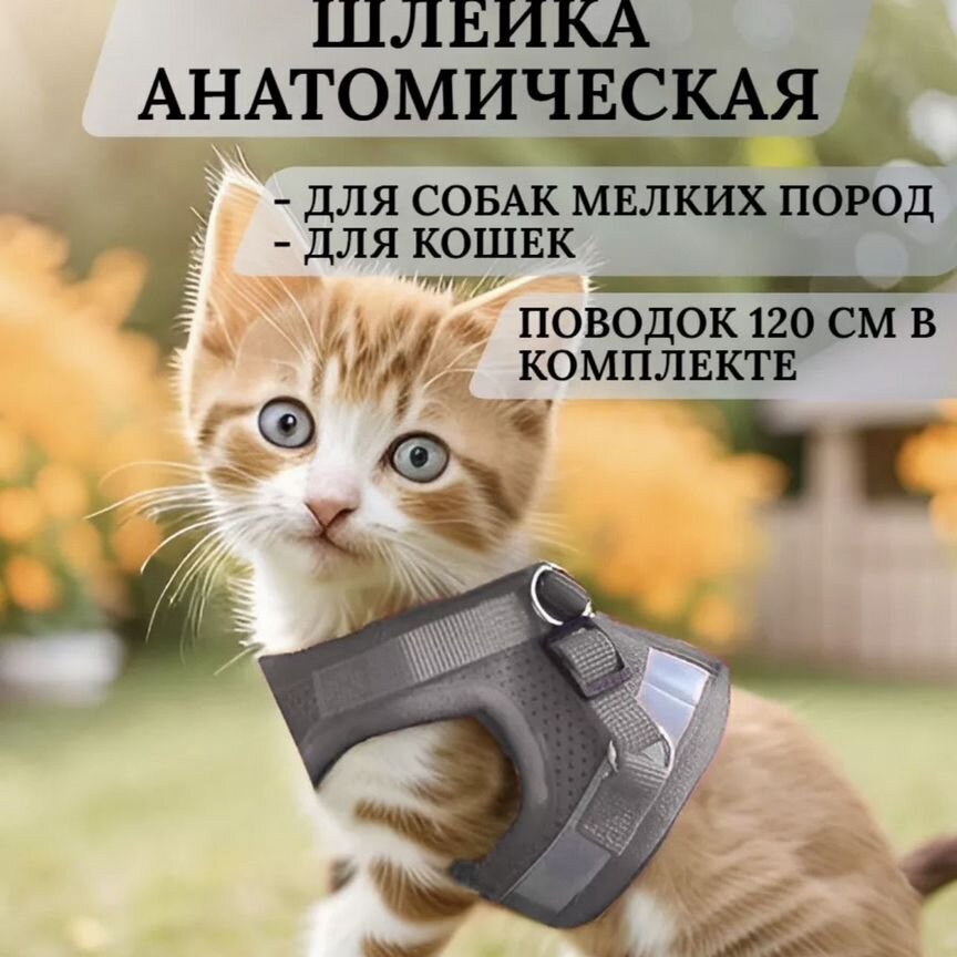 Шлейка для собак мелкий пород XS