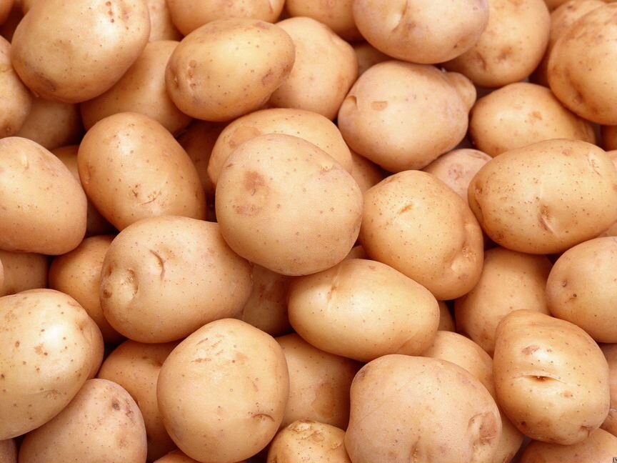 Отдам мелкий картофель,в количестве 6 ведер