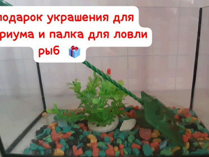 Аквариум