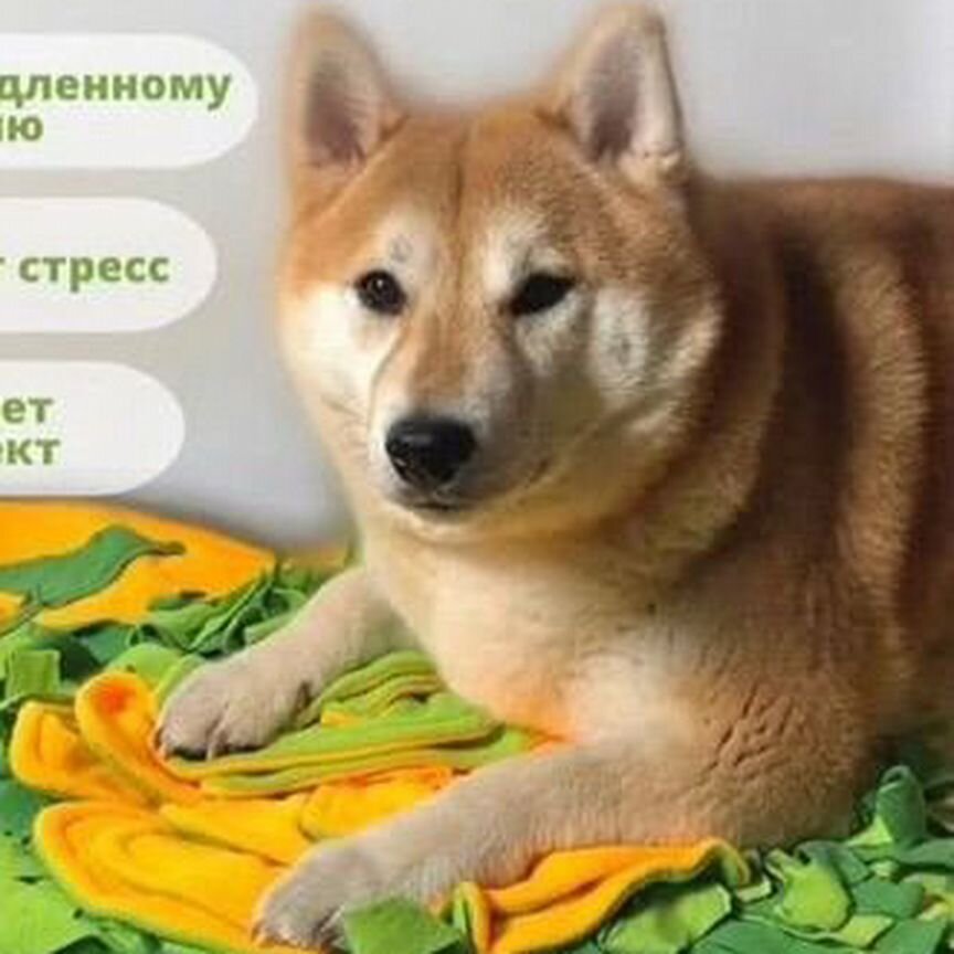 Нюхательный коврик для собак