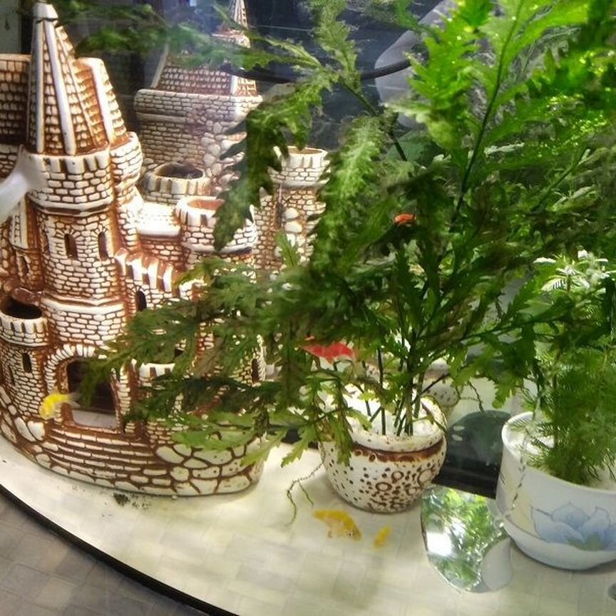 Аквариум в сборе