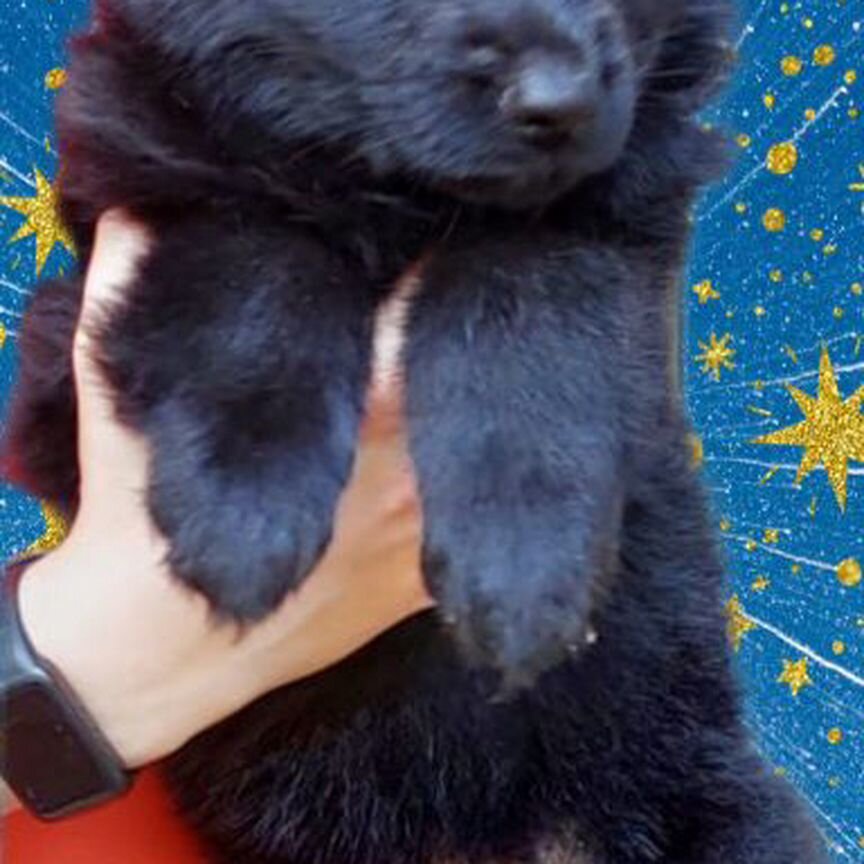 Супер девочки