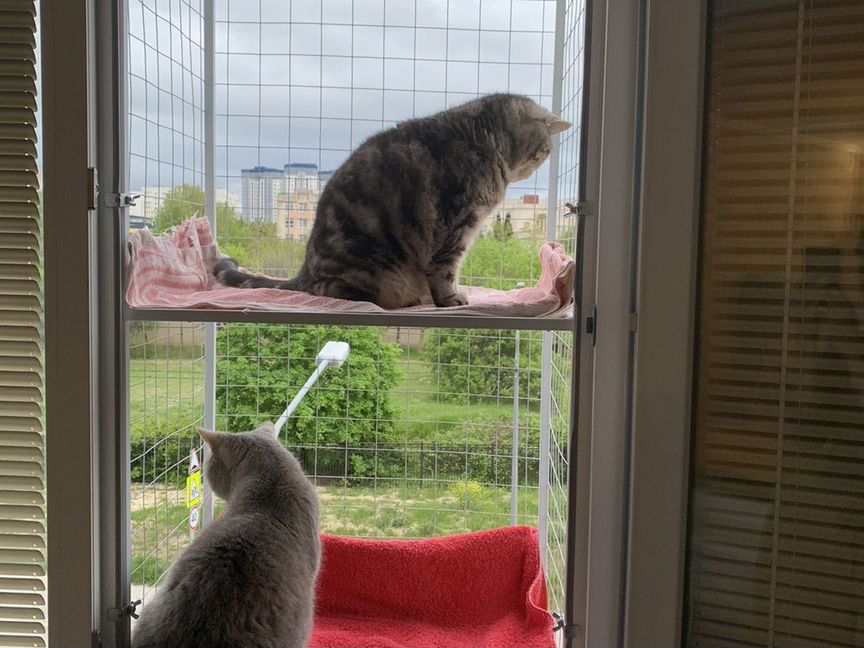 Балкончик для кошки