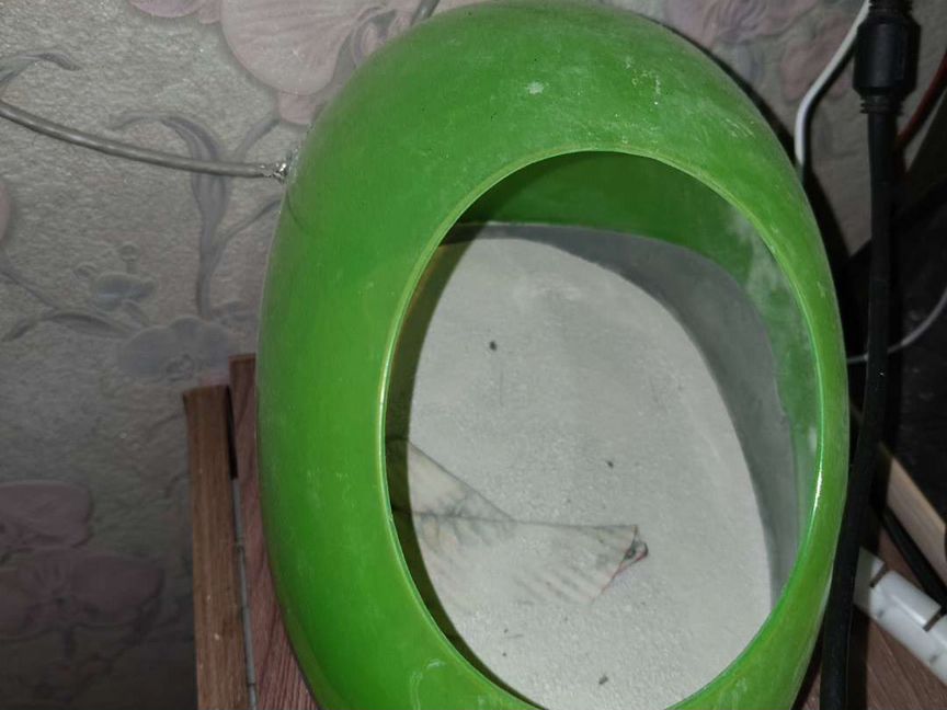 Ванночка для грызунов большая