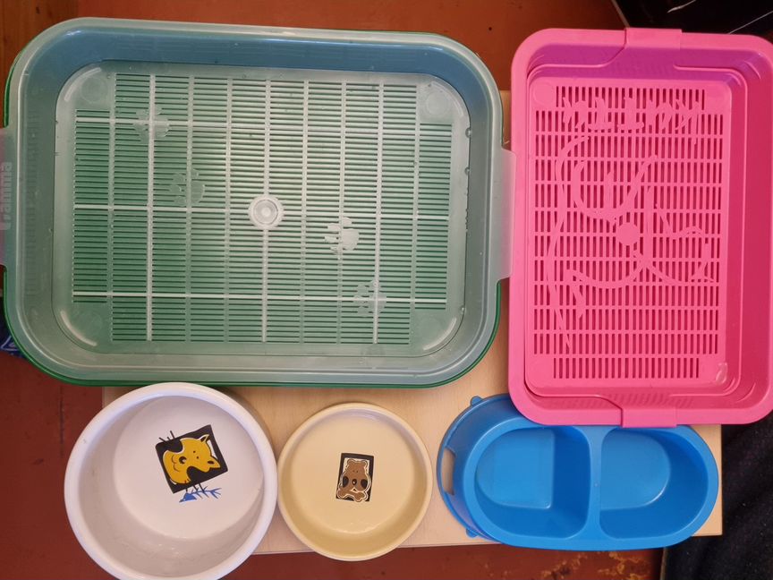 Кошачий набор