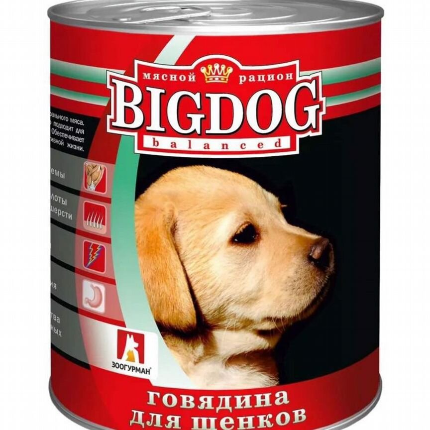 Корм для собак