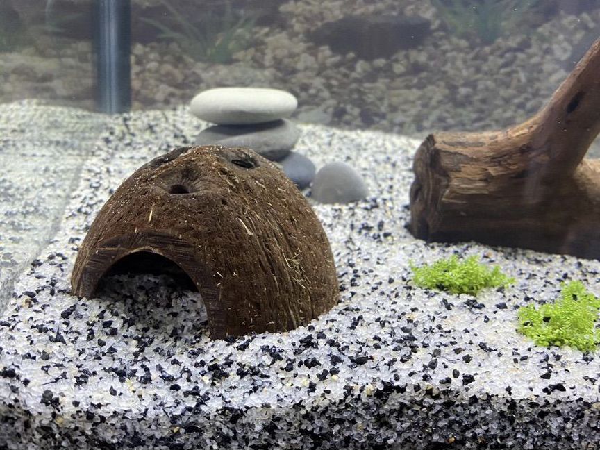 Грунт для аквариума