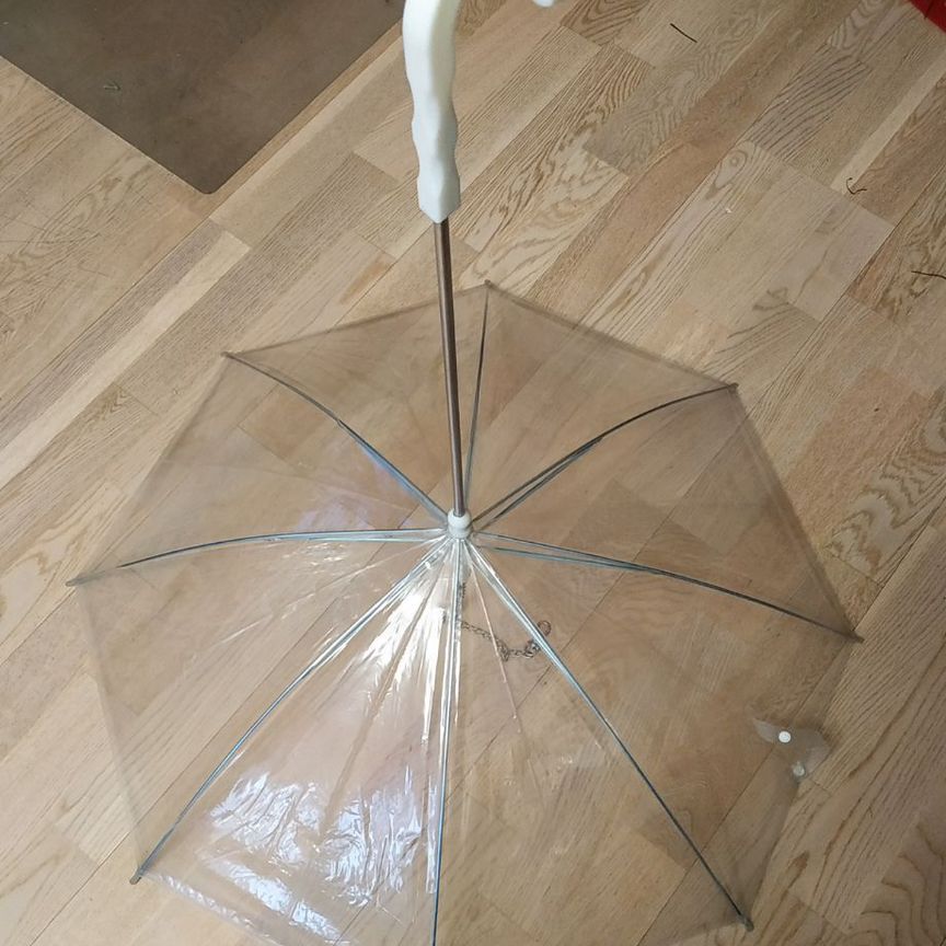 Зонт для собаки