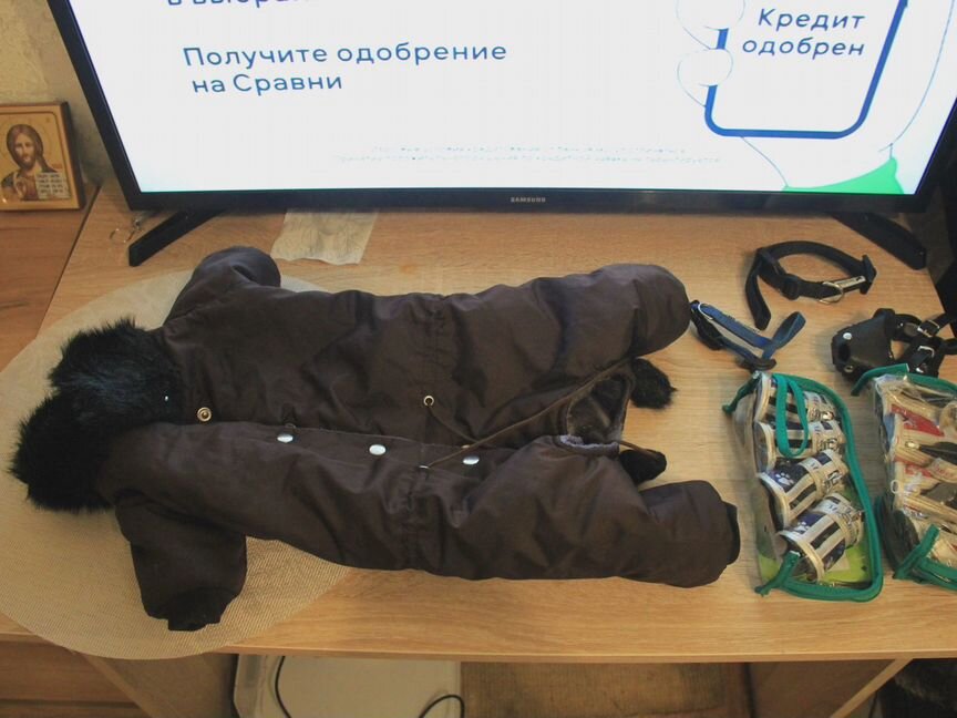Комбинезон для йоркширского терьера