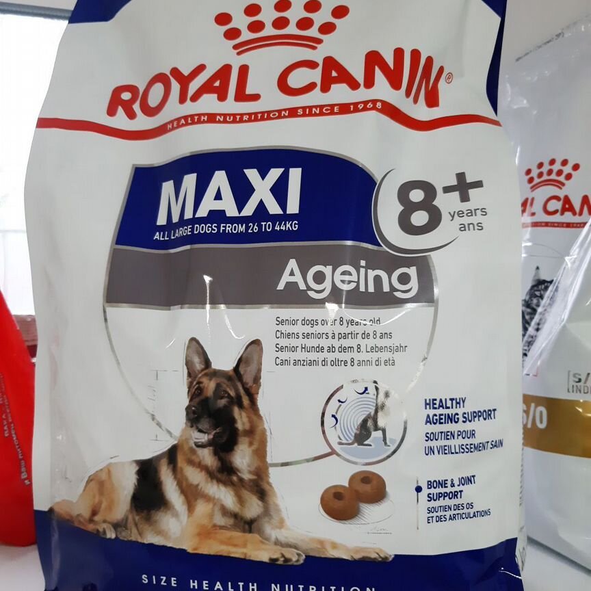 Сухой корм royal canin Maxi Ageing 8+