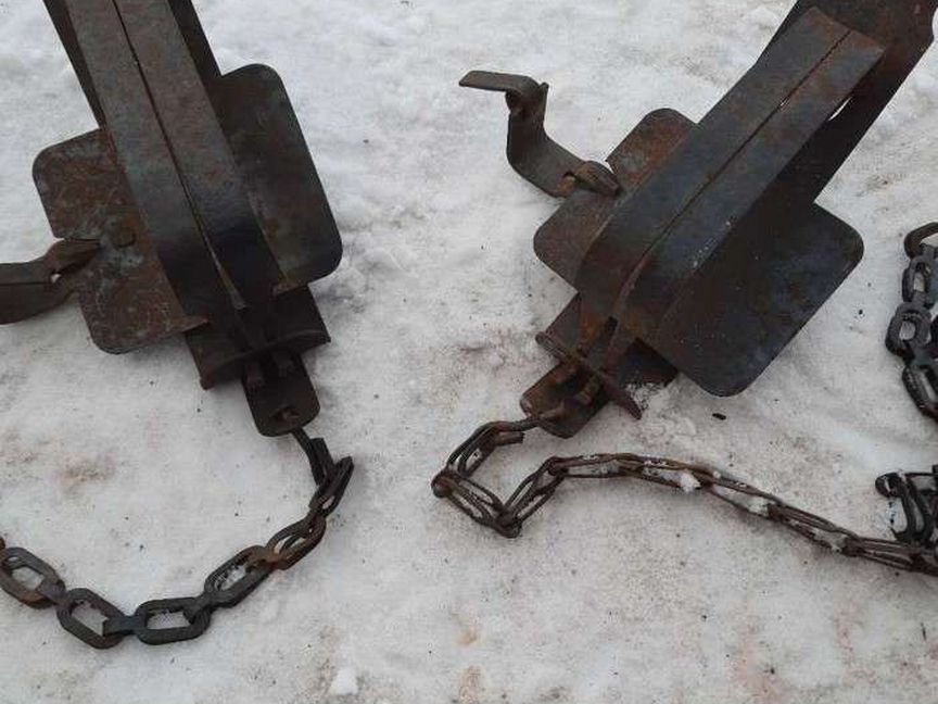 Ловушка для крыс