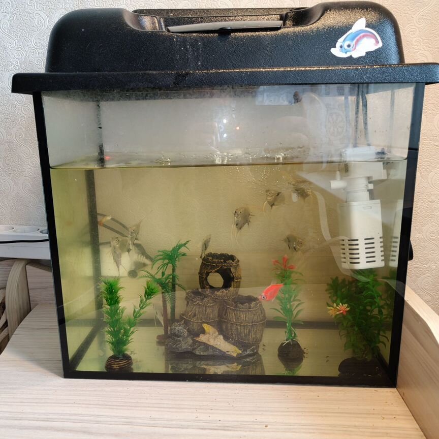 Аквариум, полный комплект с рыбками