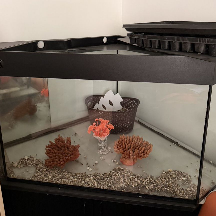 Аквариум с тумбой