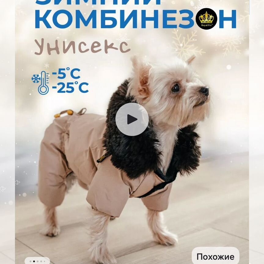 Зимний комбинезон для собак мелких пород