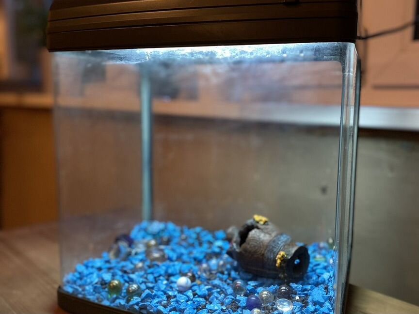 Аквариум для рыбок