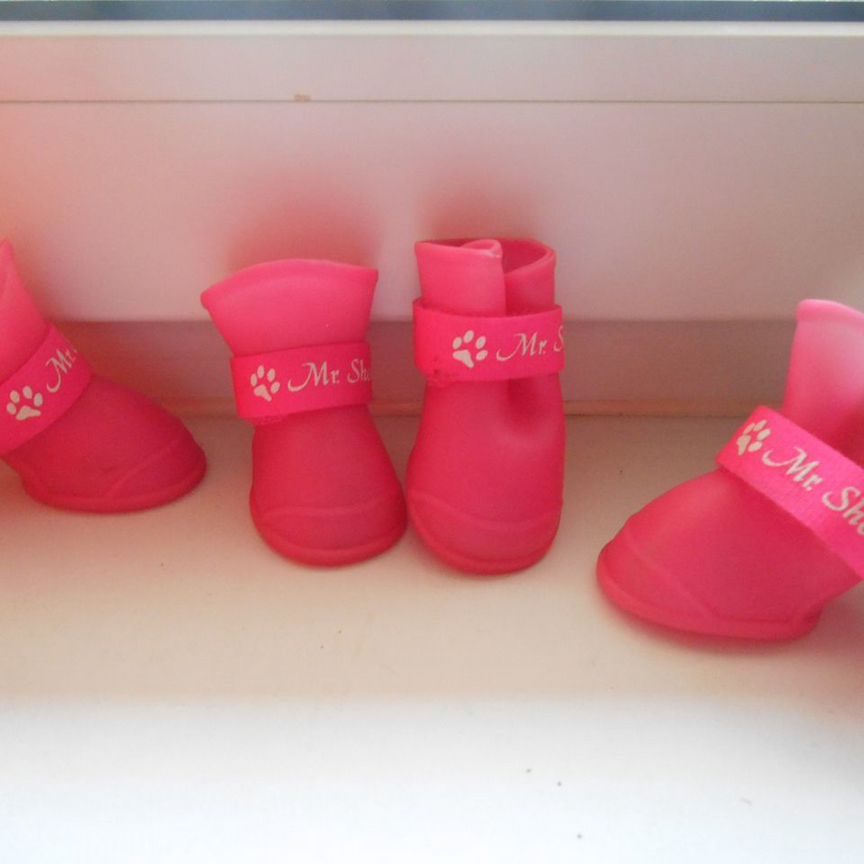 Обувь для кошки