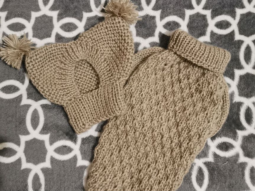 Одежда для собак