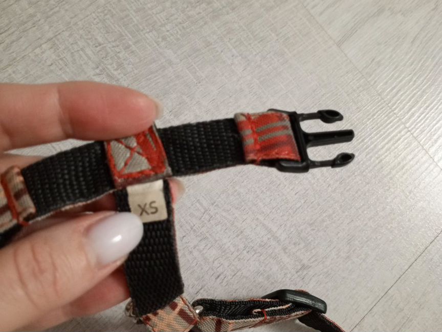 Шлейка для собаки