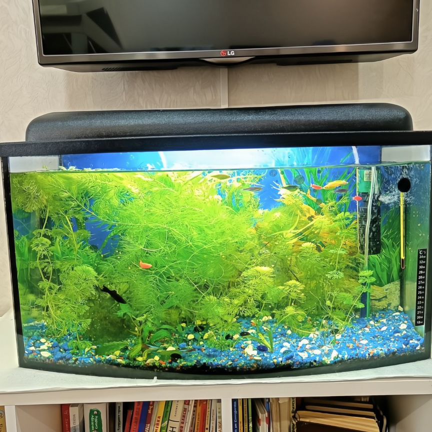 Аквариум на 70 литров