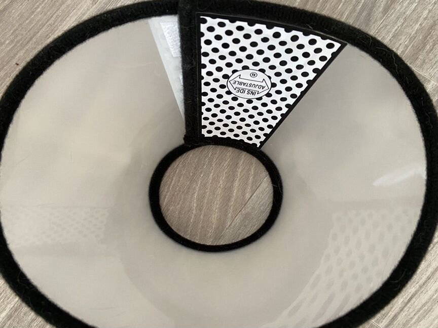 Воротник ветеринарный для кошек и собак