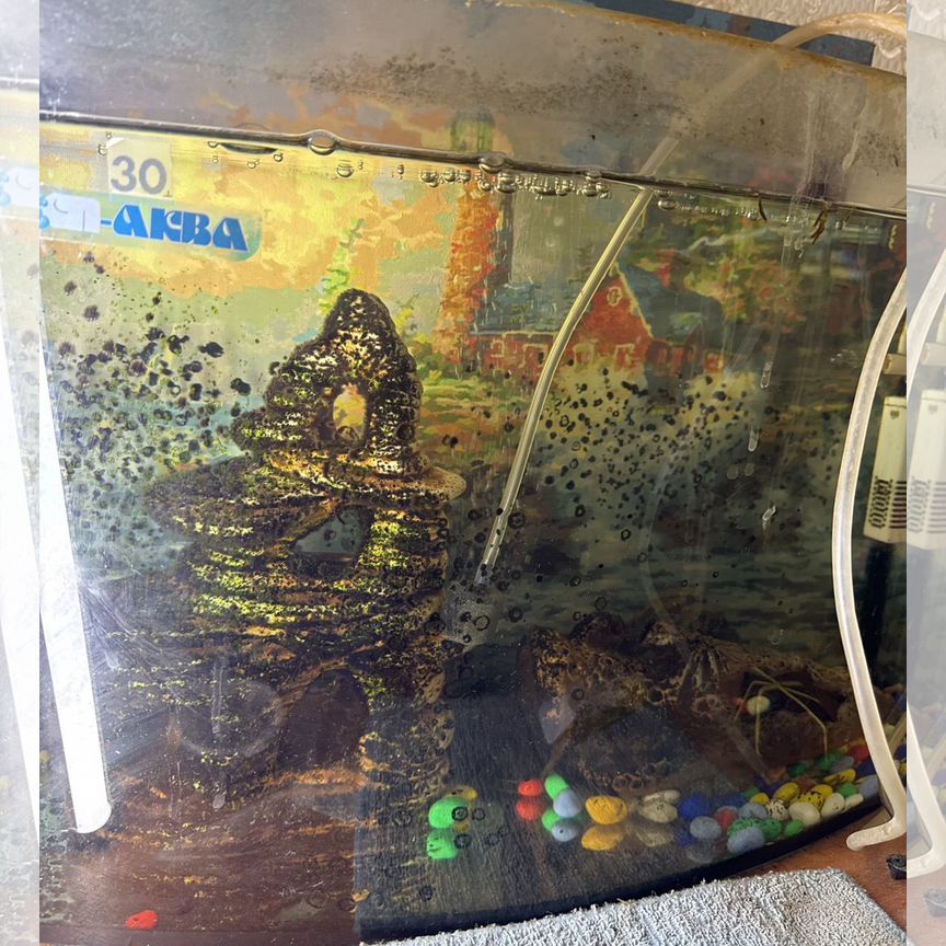 Аквариум 30л с сомами