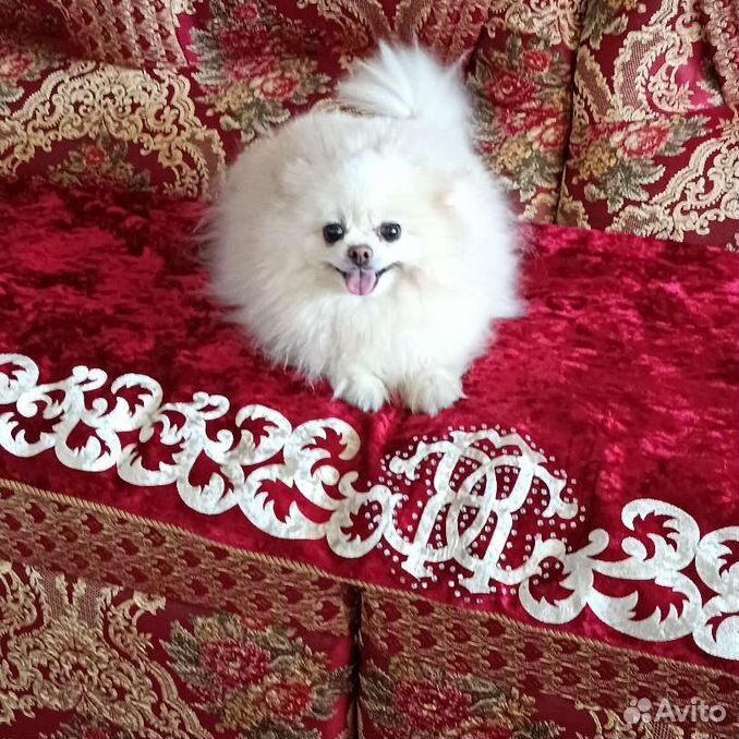 Девочка 3 года с документа очень добрая и ласковая