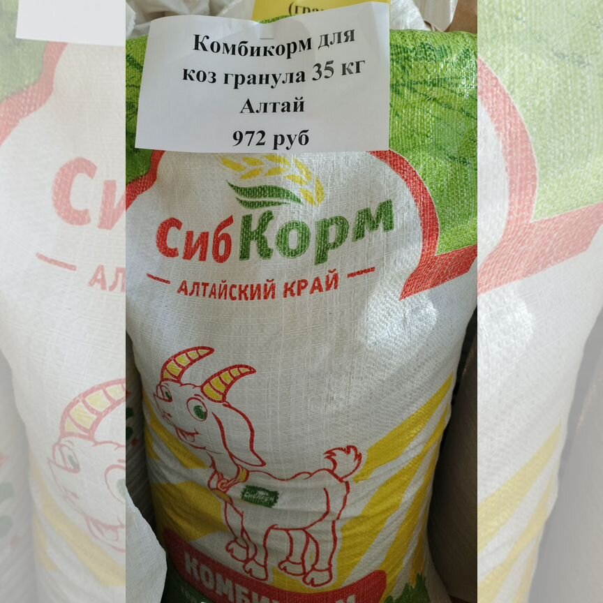 Алтайский комбикорм