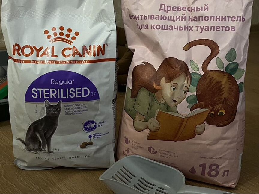 Корм для кошек, лоток, когтеточка