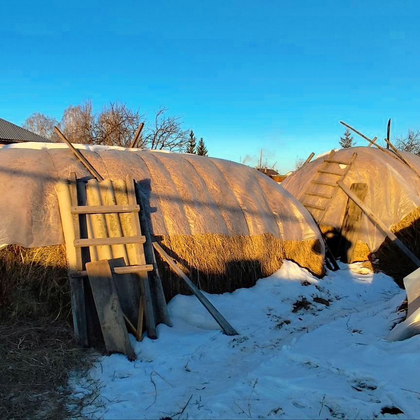 Продам сено