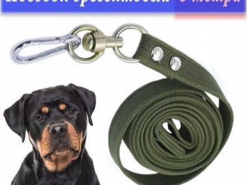Поводок брезентовый для собак 3 м