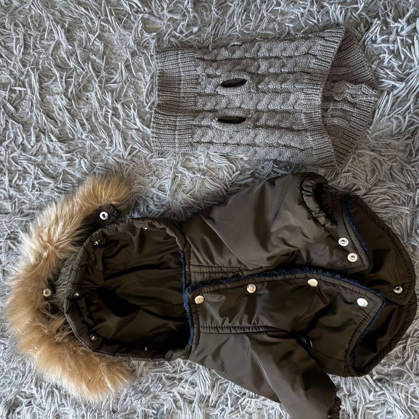 Одежда для маленьких собак