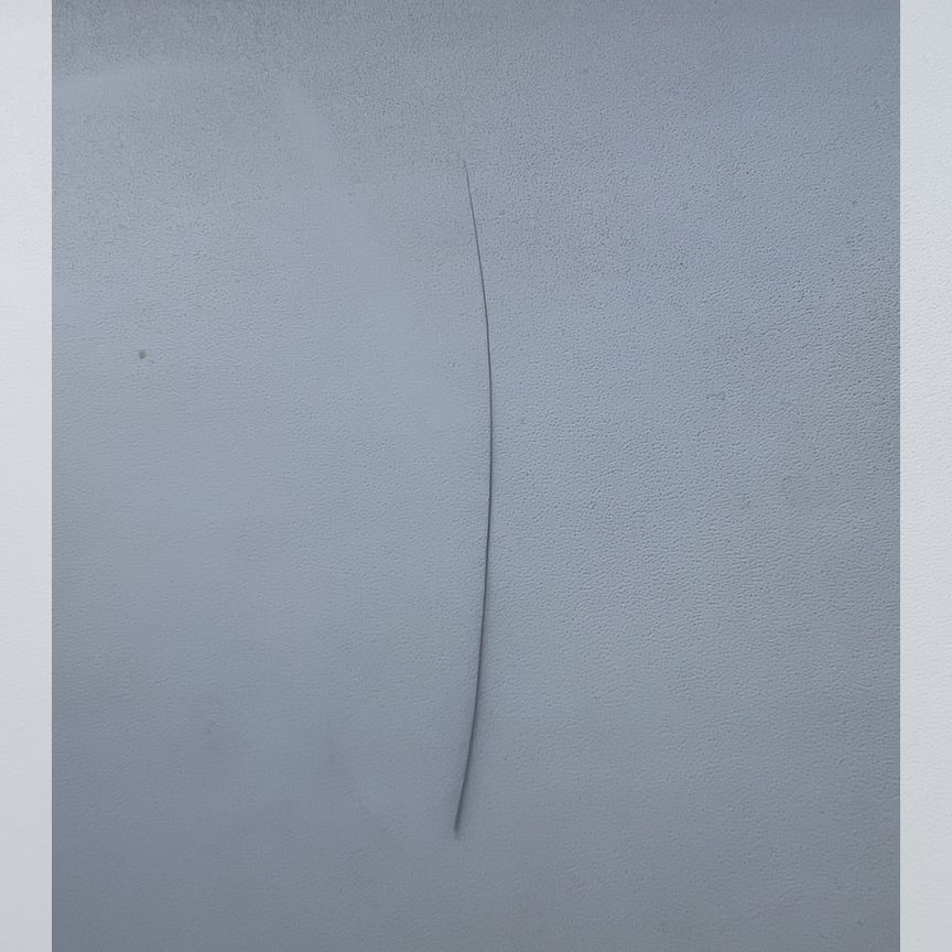 Кошачий чёрный ус