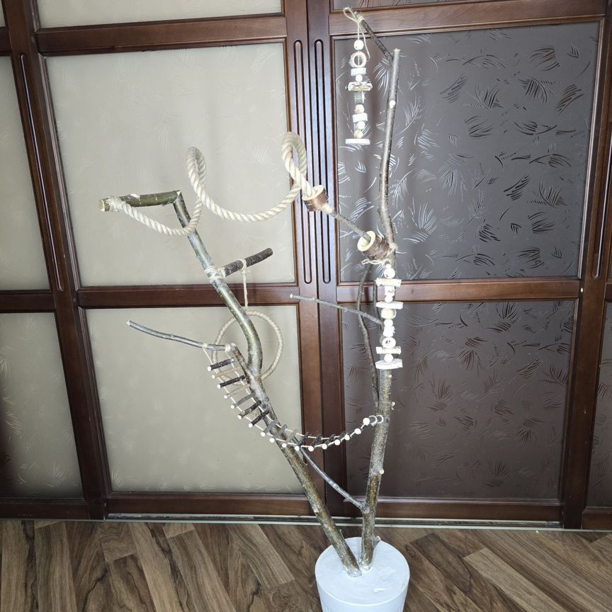 Стенд присада для попугаев